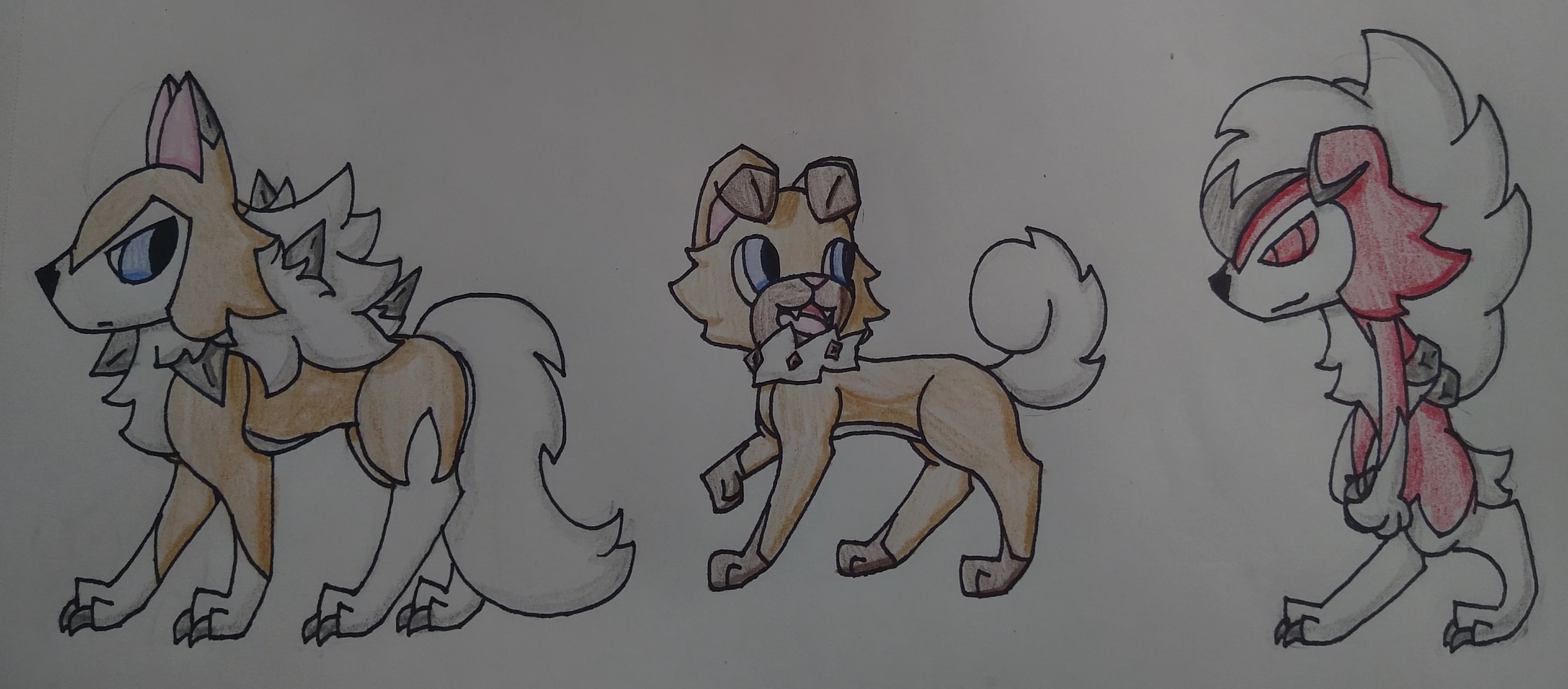 Rockruff Line | Fandom