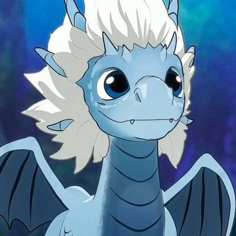 Zym appreciation post | Fandom