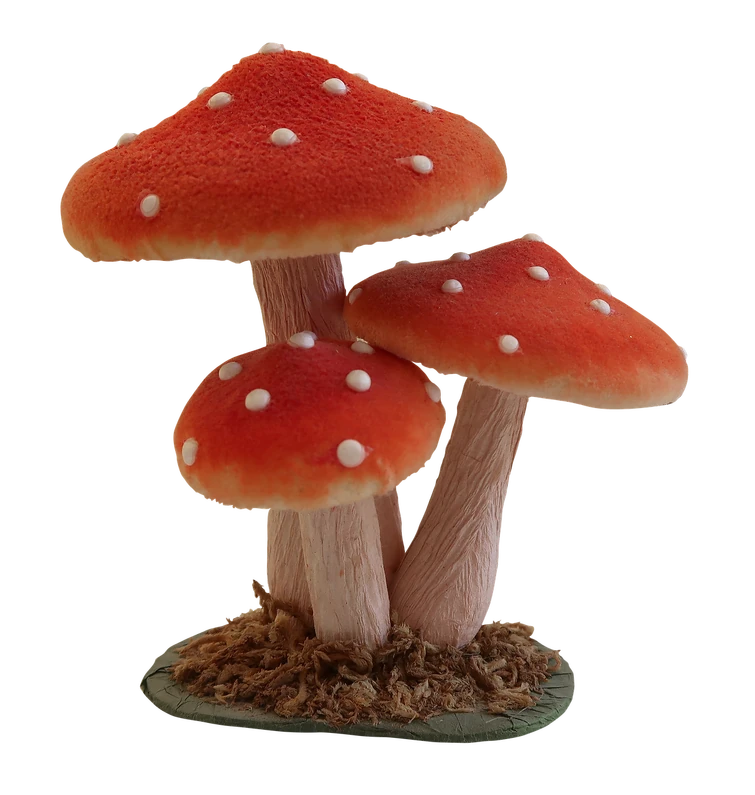 Found scare-200's mushroom origin | Fandom