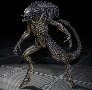 Discuss Everything About Xenopedia | Fandom