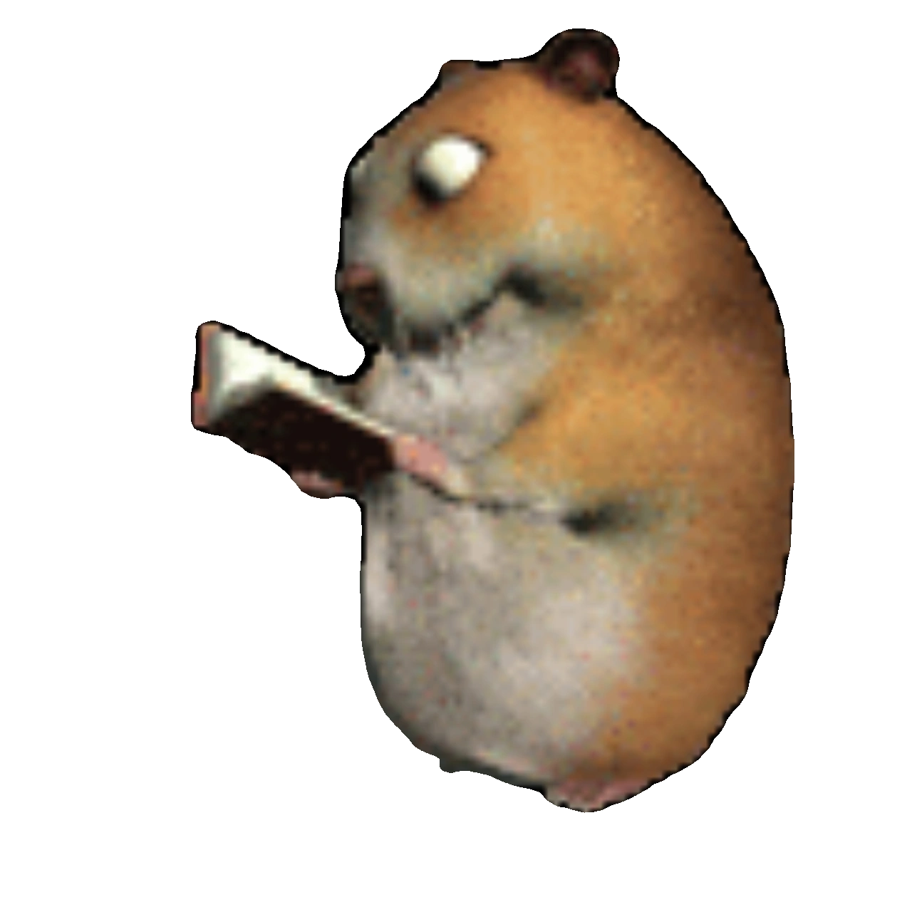 Chomik idea(?) | Fandom