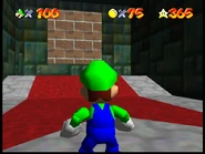 Basement Maze | B3313 Wiki | Fandom