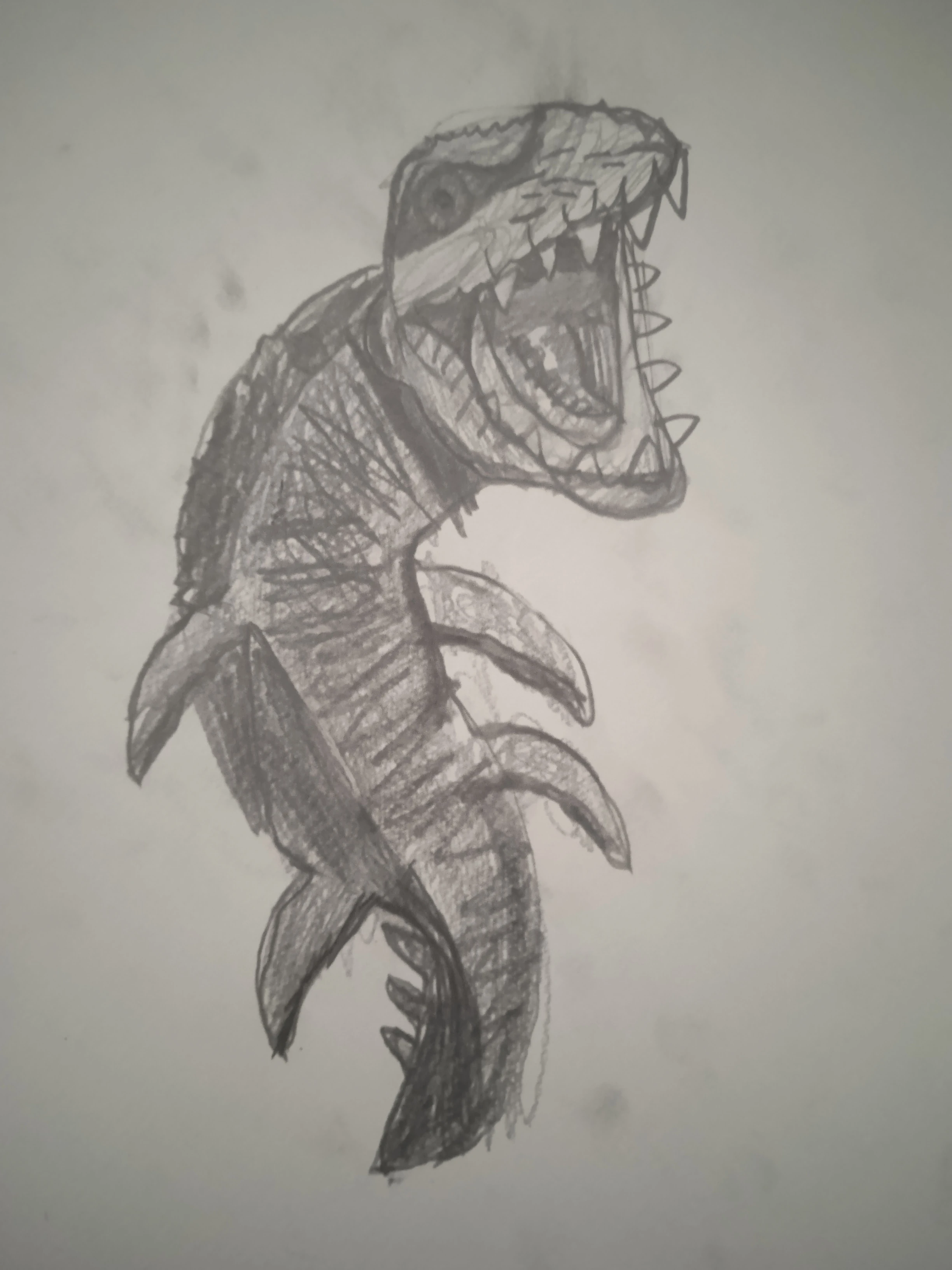 My sketch of a Mosasaurus | Fandom