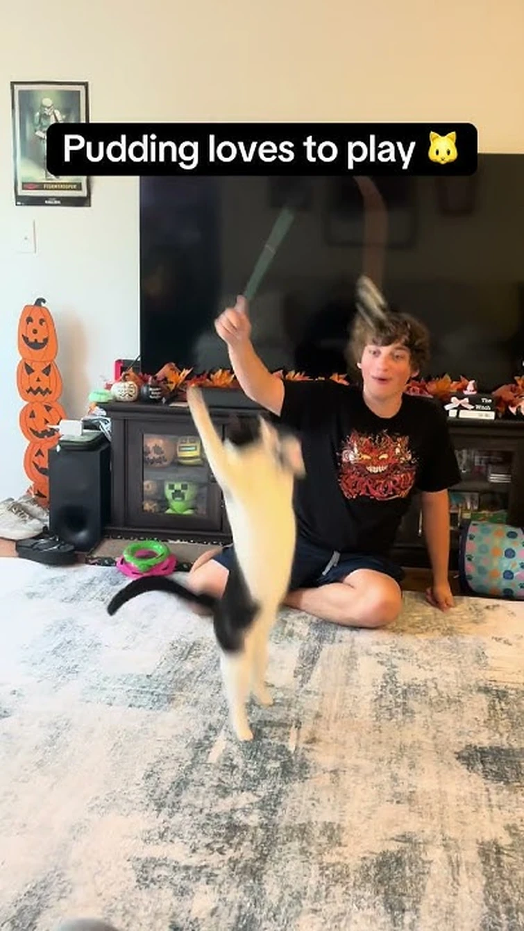 Pudding is so cute | Fandom