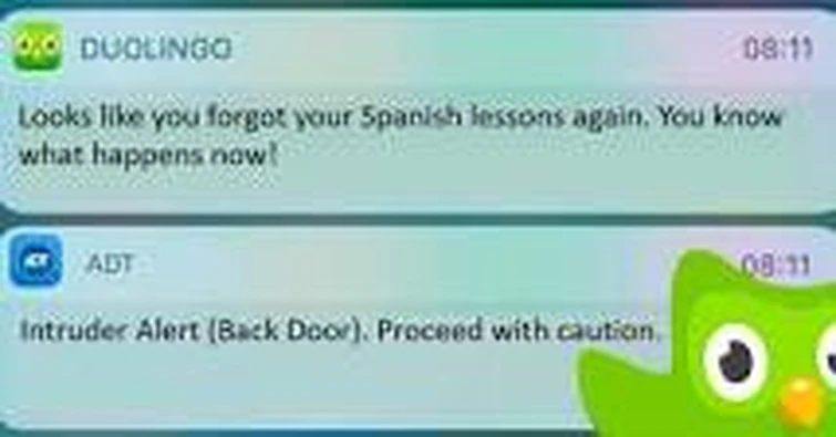 just logged back into duolingo and realized its been 3 years | Fandom