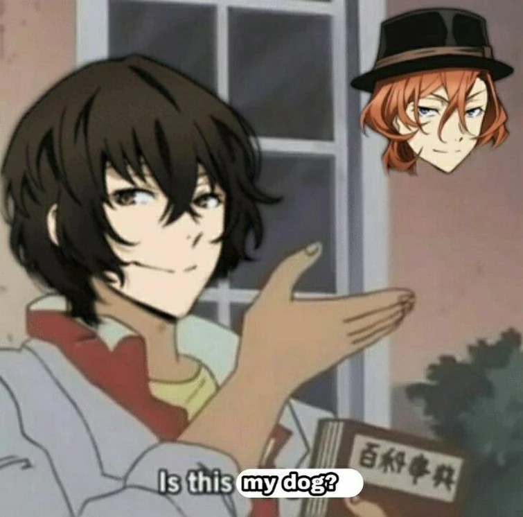 WEEKLY DOSE OF BSD MEMES | Fandom