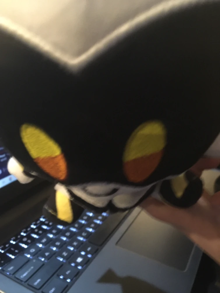 bald N 🤑🤑 | Fandom