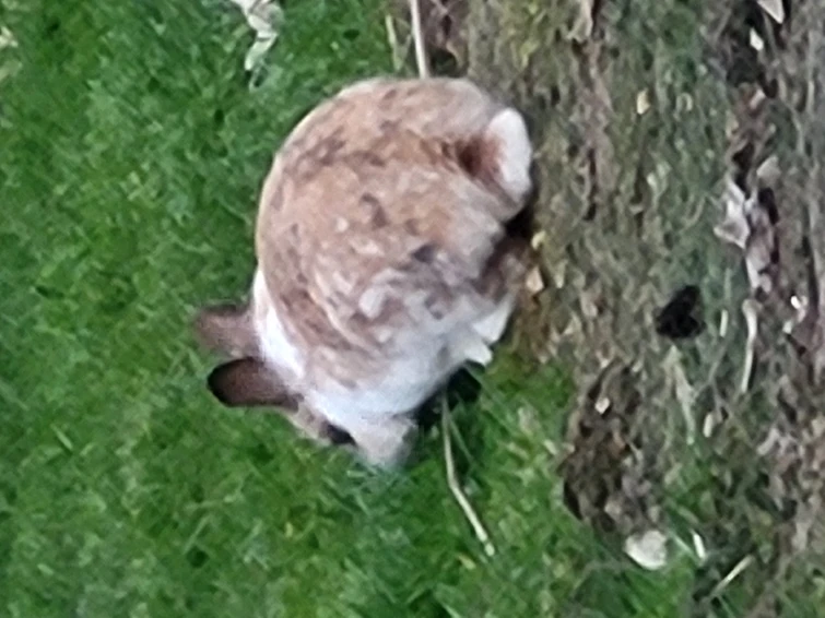 eyebleach needed /nf | Fandom