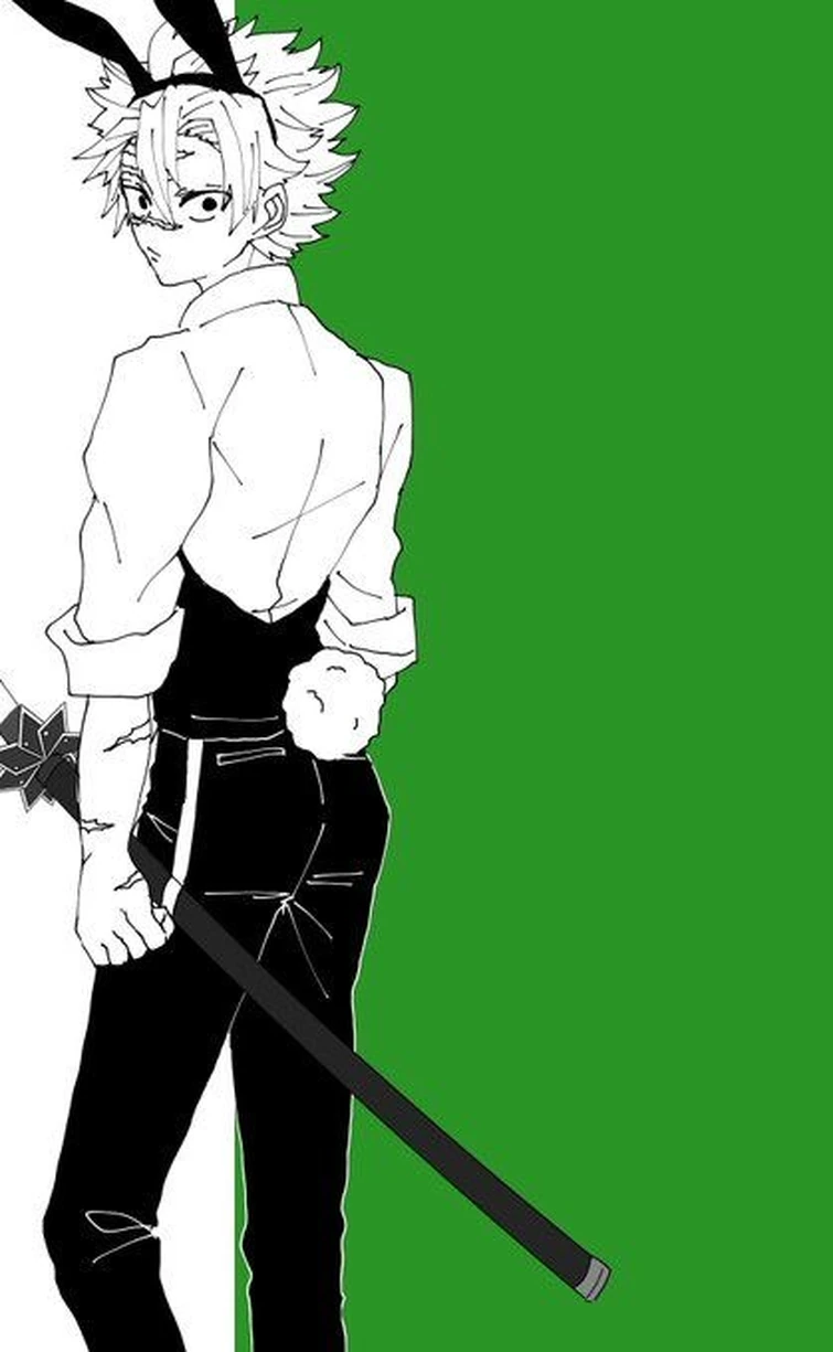 “Why is there so much art of Sanemi as a bunny?” | Fandom