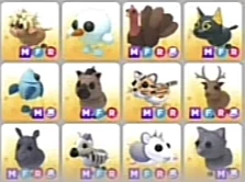 Whats the best pet I can get with these | Fandom