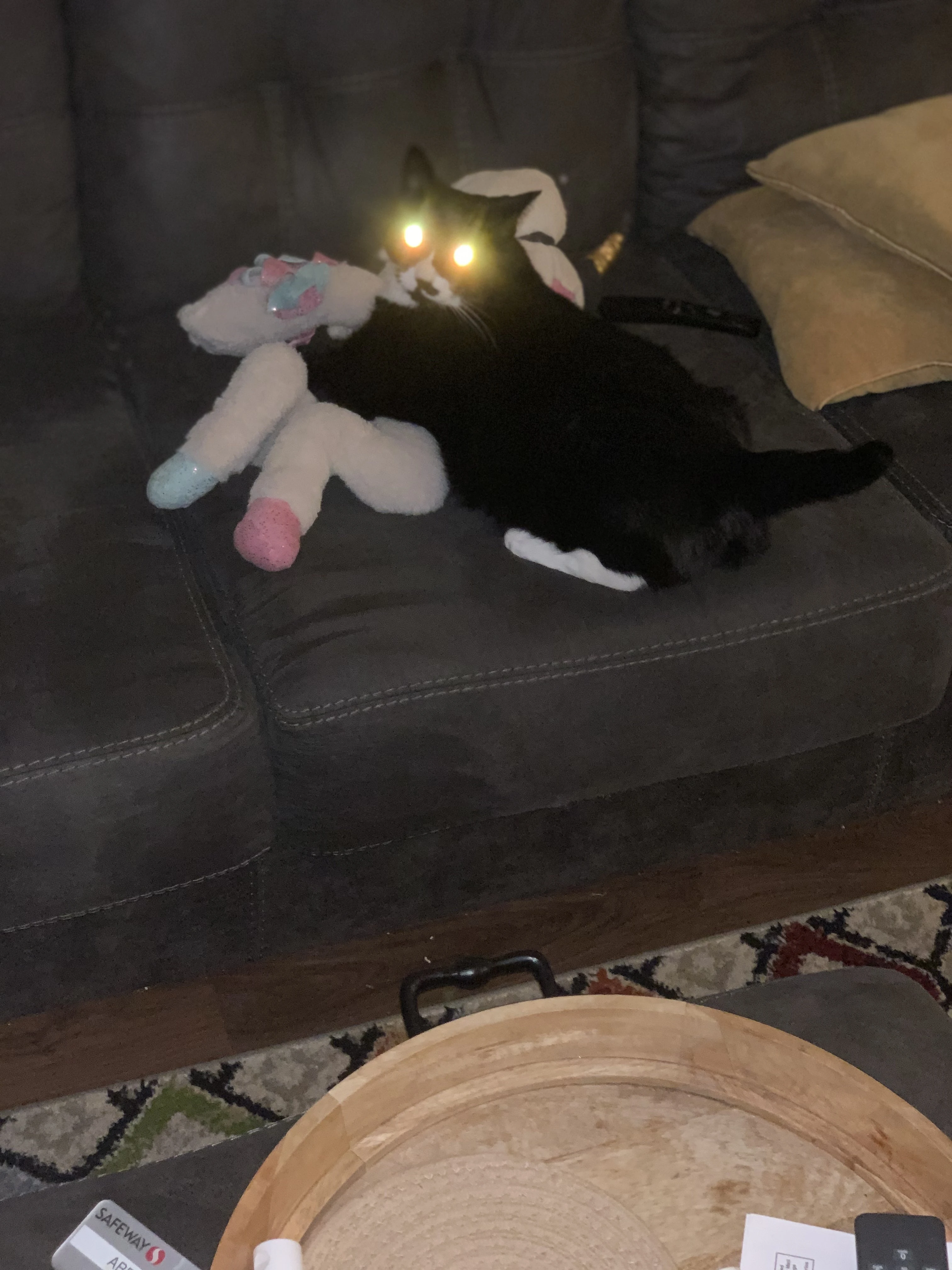 My cringe cat | Fandom