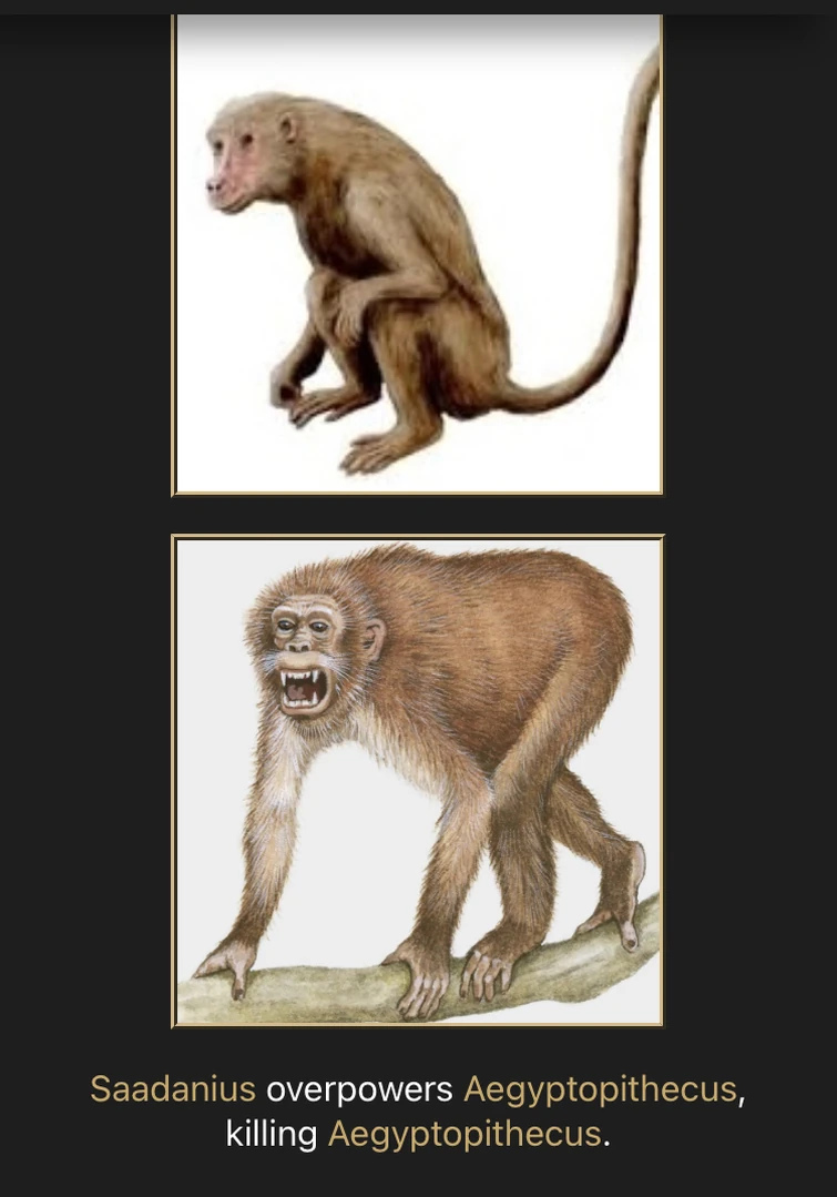 Discuss Everything About Dinopedia | Fandom