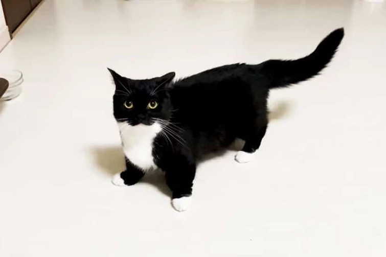 Discuss Everything About R2DA Wiki | Fandom