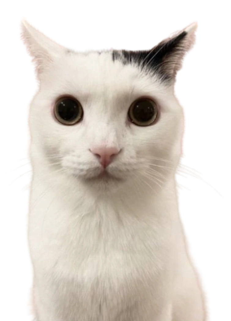 Making a nextbot game | Fandom