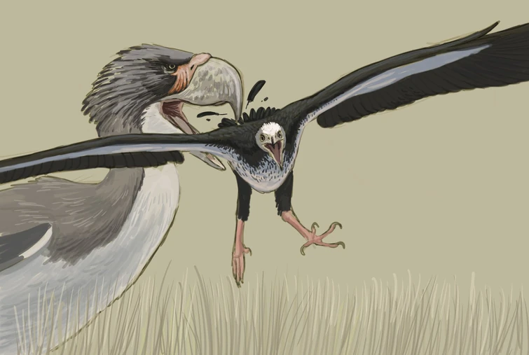 Titanis/terror bird rant | Fandom