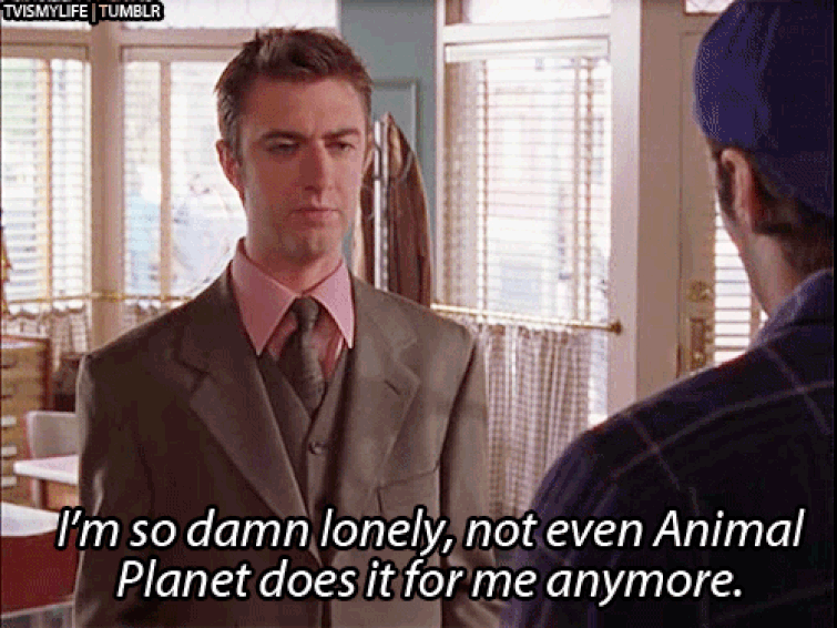 Discuss Everything About Gilmore Girls Wiki | Fandom