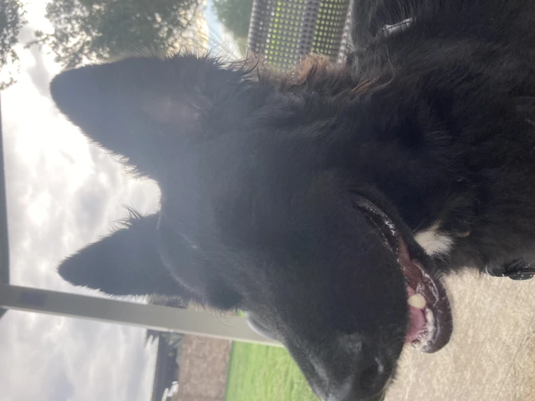 Trading shadow Euvias (there is a silly at the bottom of this post ...