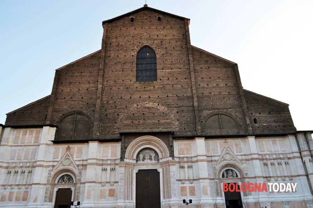 The Reborn Knight | Fandom