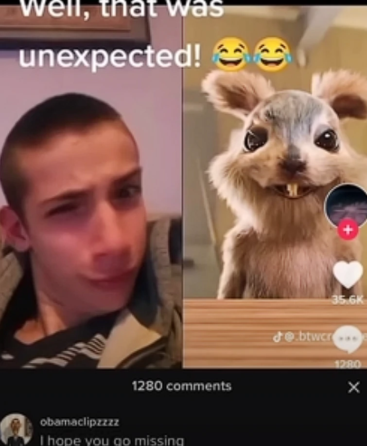 cheedaman give hint on plum slinky this is the hint | Fandom