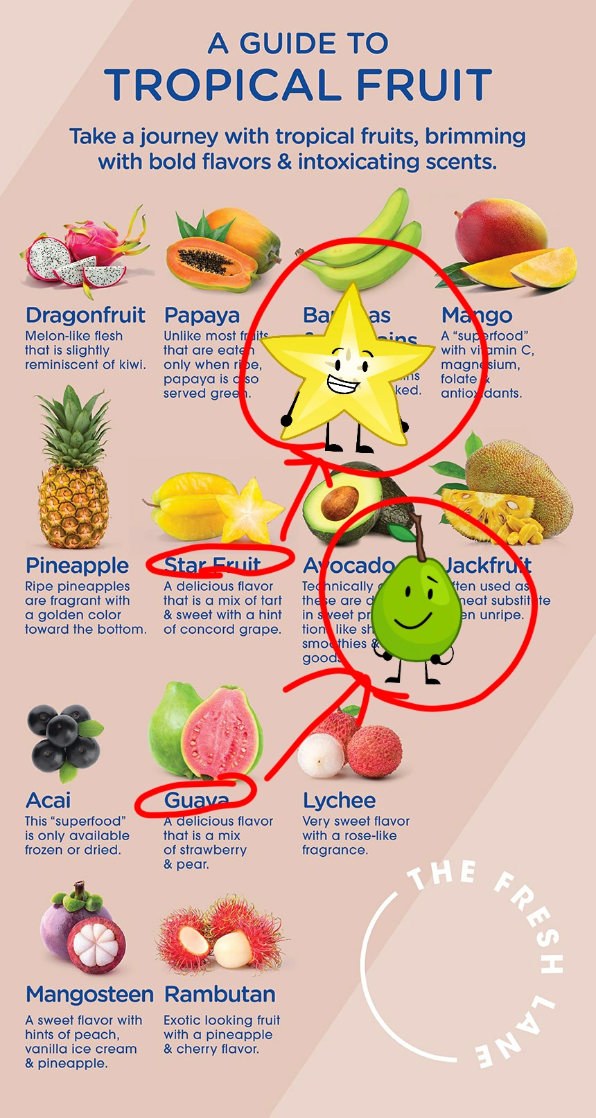POV: you search up tropical fruits but you have osc brainrot | Fandom