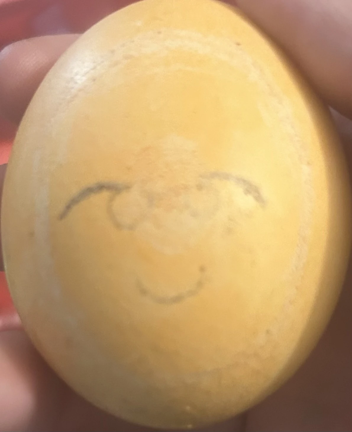 You’ve found an Eggson egg with an idfk chance of spawning | Fandom