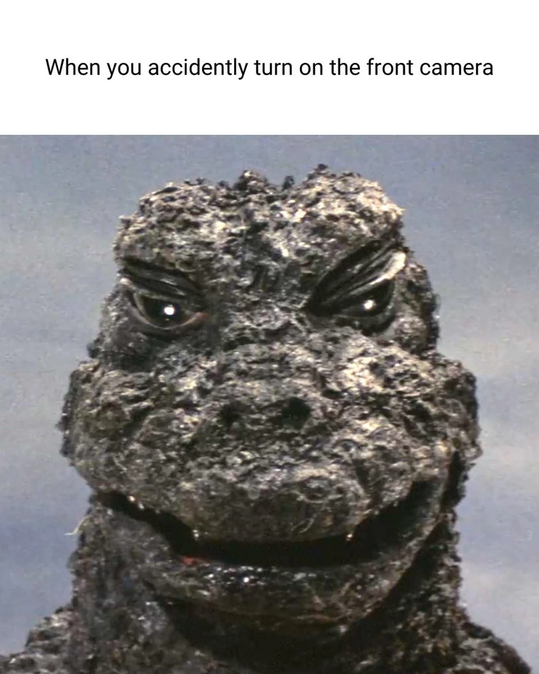 Godzilla: Catharsis of Destroyers - Chapter 7: For the love of God, Run ...