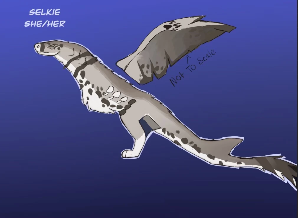 Hopping on the jot oc train! (Meet selkie!) | Fandom