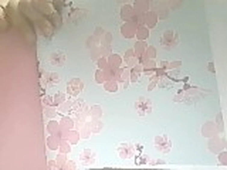 who wants an origami pfp | Fandom