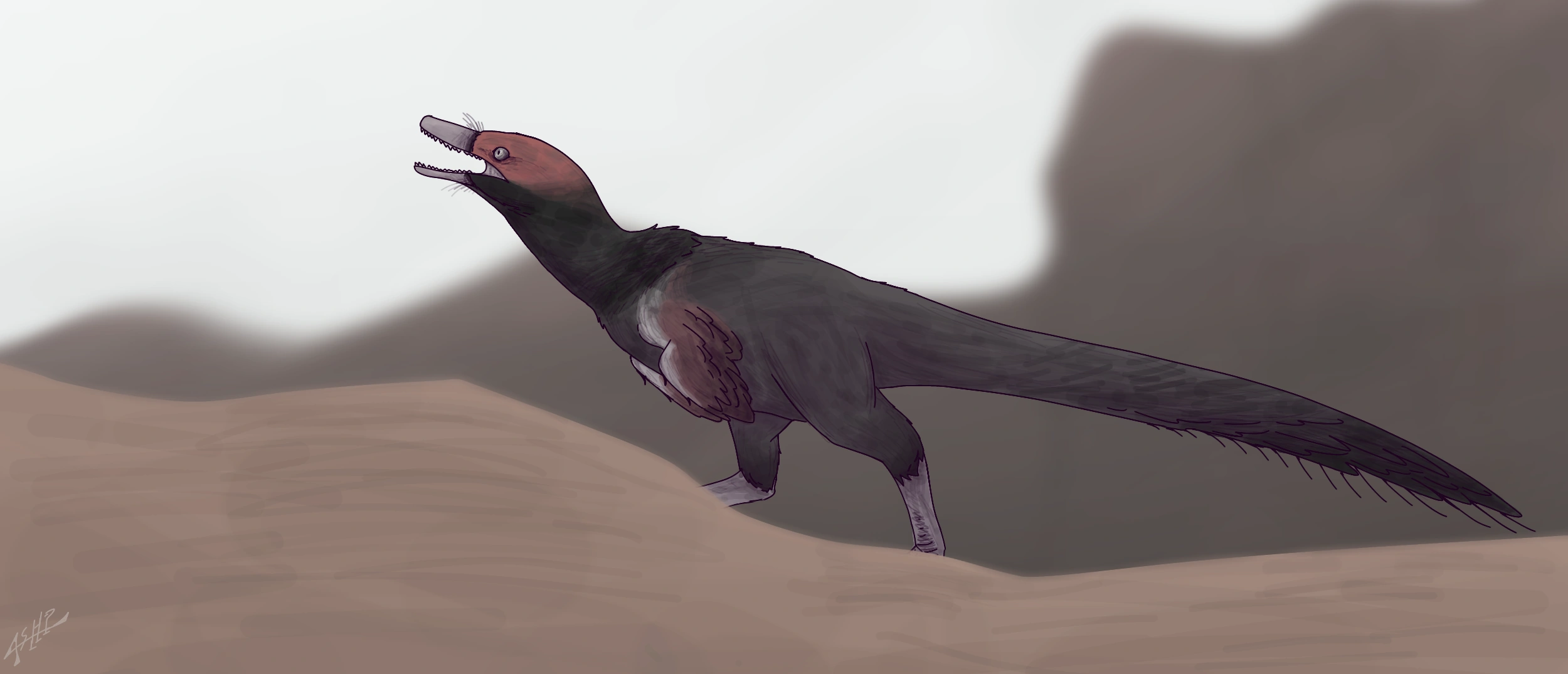 Byronosaurus jaffei drawing | Fandom