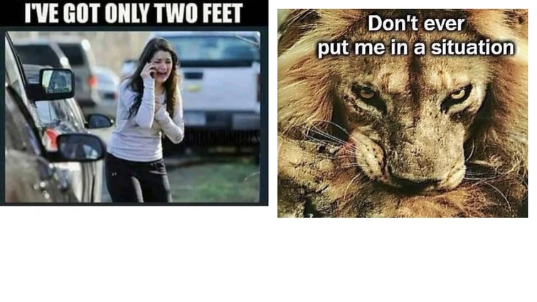 Cropped Boomer Memes I Think Six Would Appreciate | Fandom