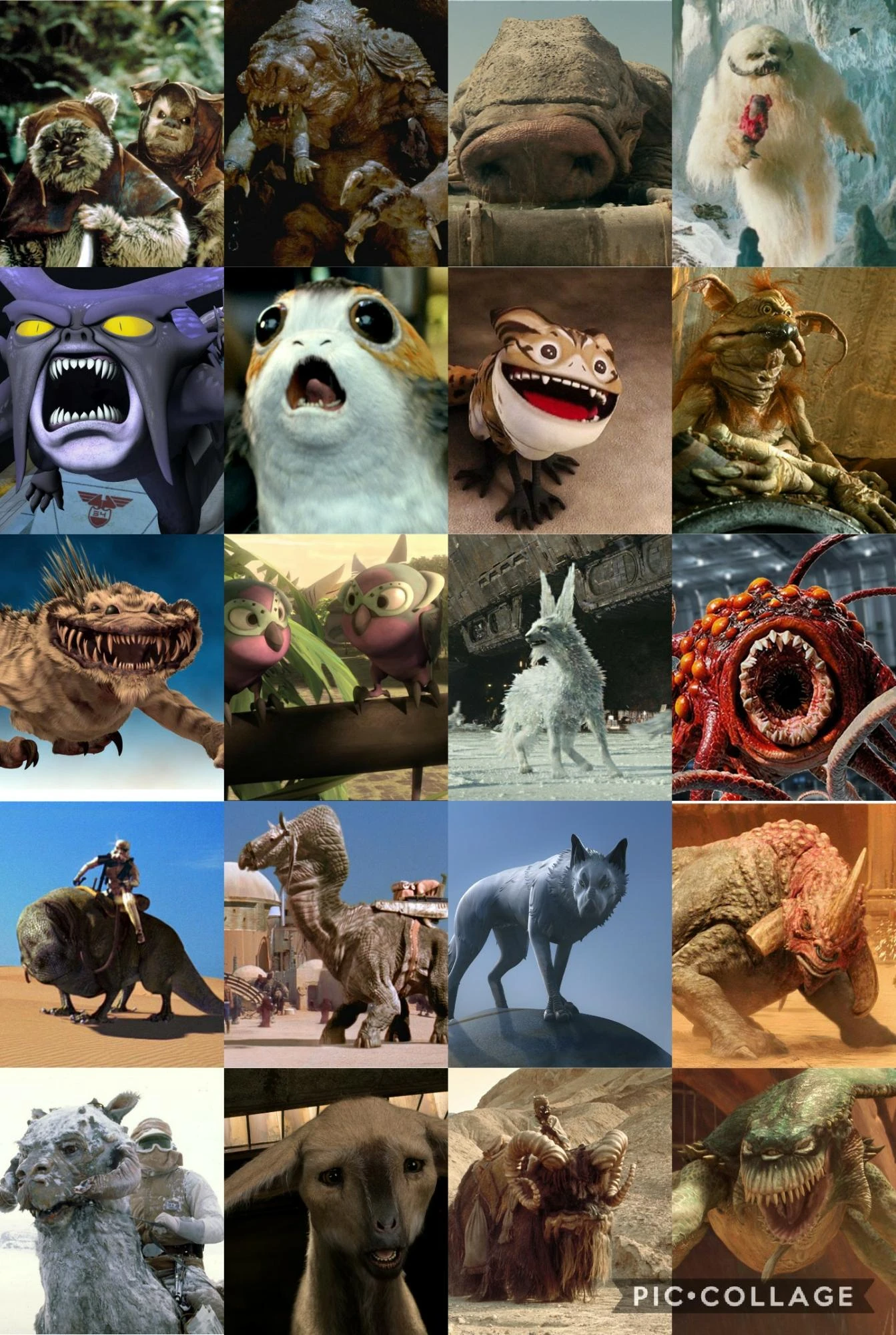 What Star Wars animal would you want as a pet? | Fandom