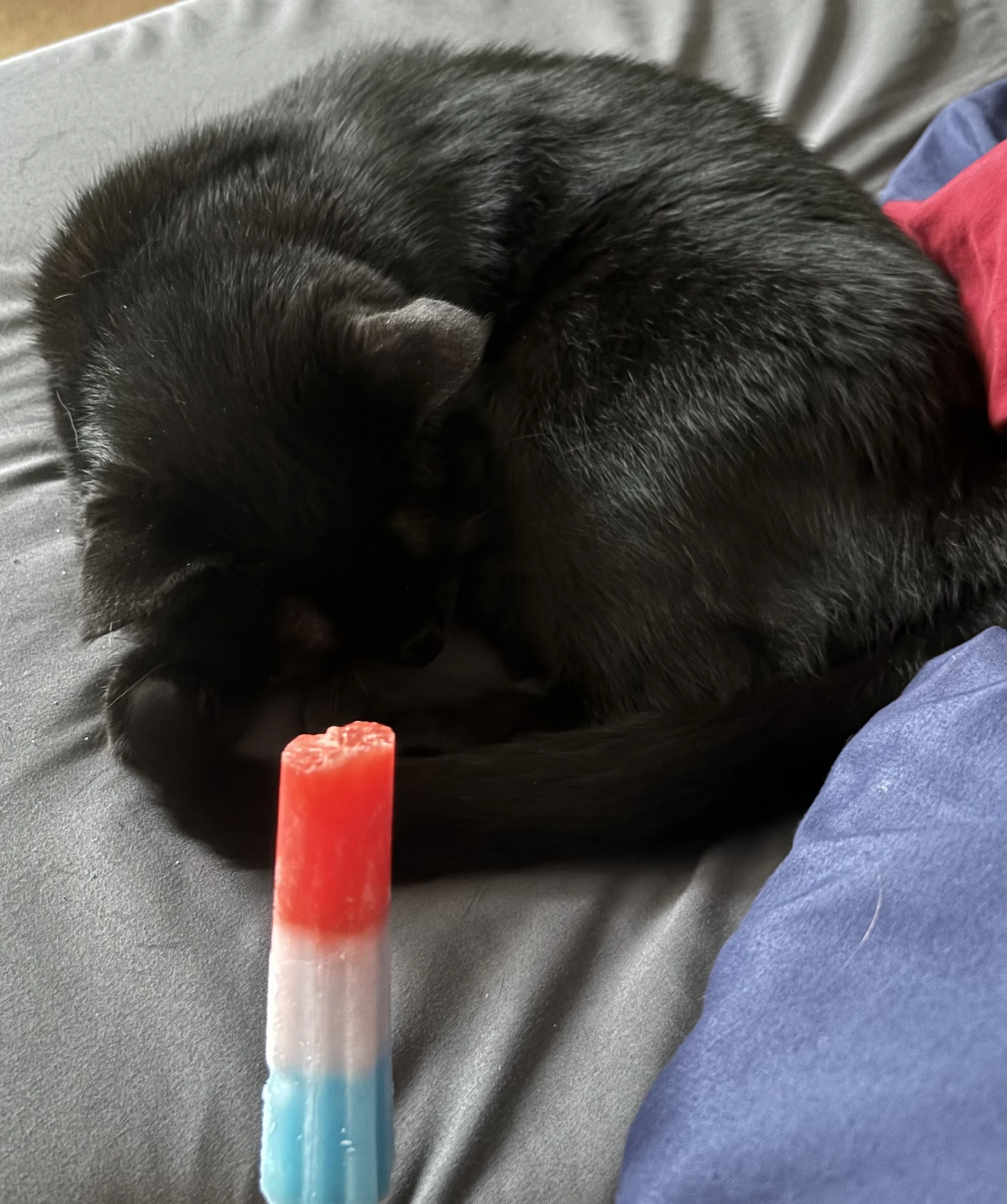 Buying Noxu, Magnacetus, and diokrine | Fandom