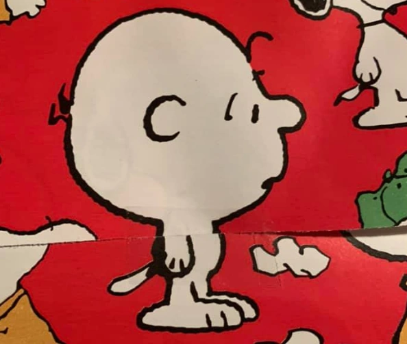 it's charlie bro- HOLY WHAT | Fandom