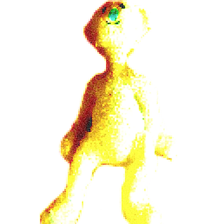 Discuss Everything About Roblox BEAR Wiki | Fandom