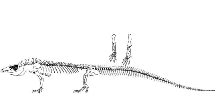 New Megalania (too based) | Fandom