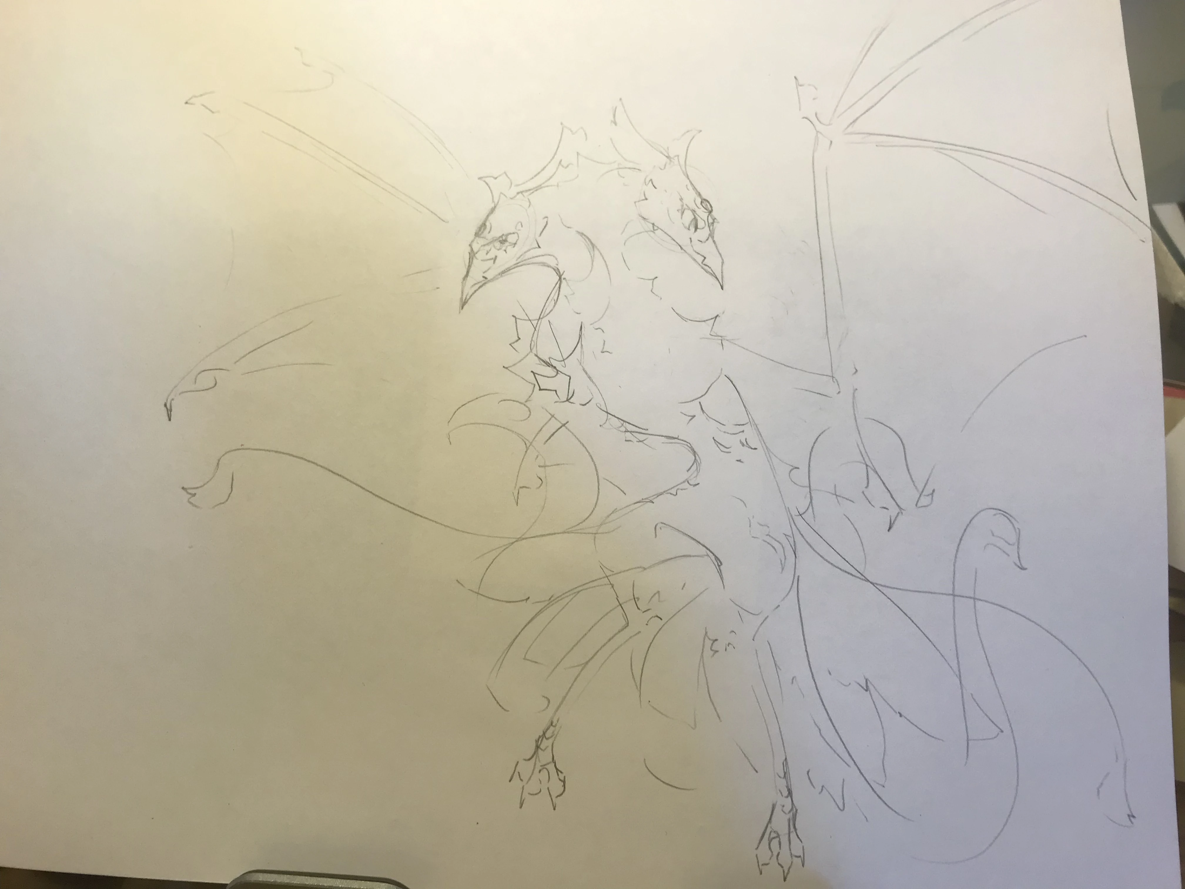 very old fay | Fandom