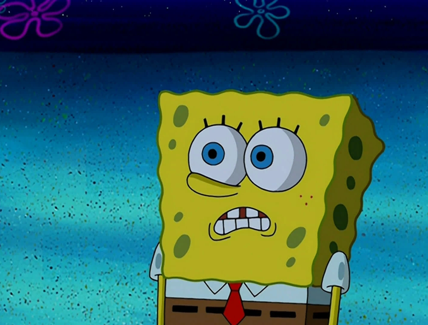 Why did SpongeBob said "I knew this guy" 16 times? | Fandom