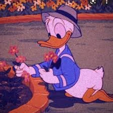 Stupid PFP poll | Fandom