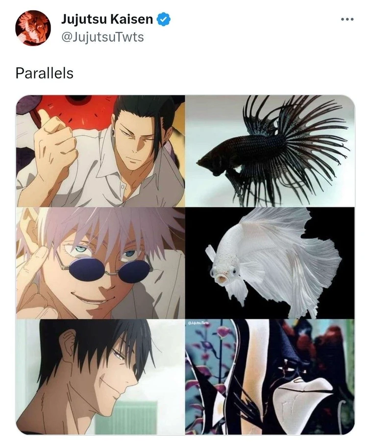 Nothing, just here to drop some memes since JJK is ending | Fandom