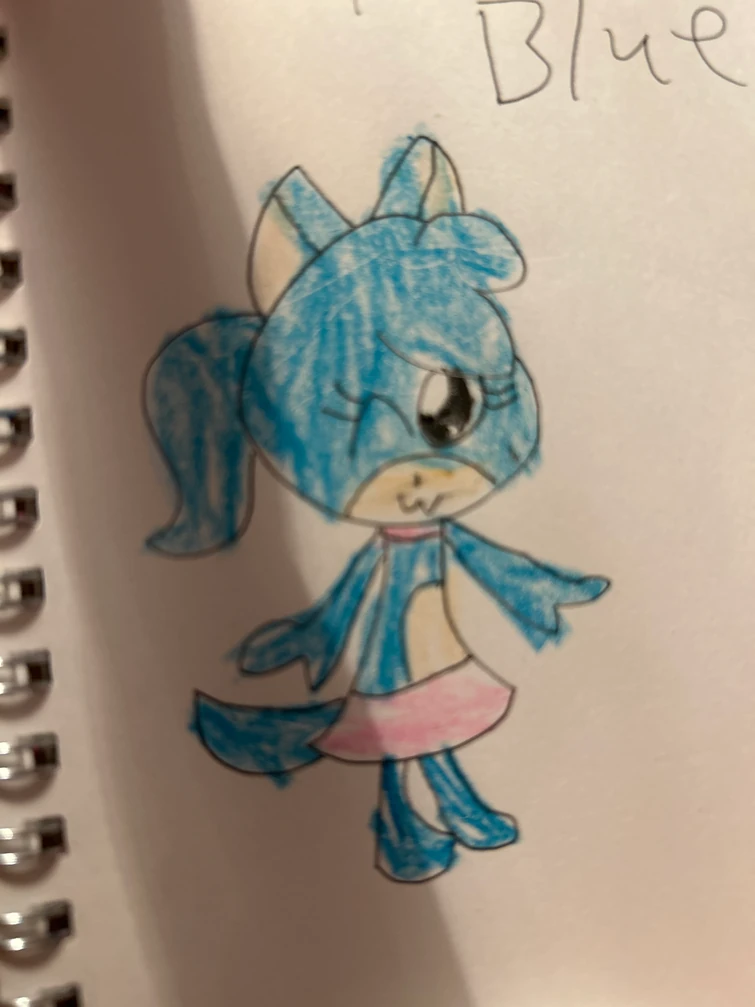 1962 bluey heeler | Fandom