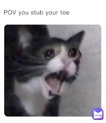 Stubbed My Toe | Fandom