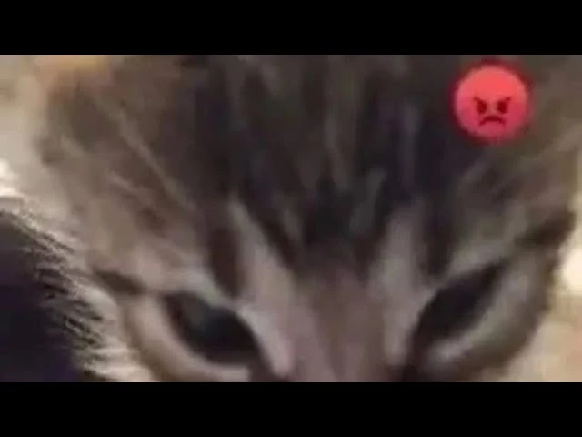 pagin’ time lookin ahh | Fandom