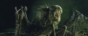 Discuss Everything About The Maze Runner Wiki | Fandom