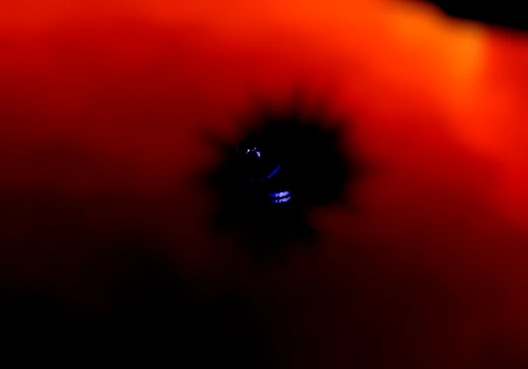 💣︎☜︎⚐︎🕈︎ | Fandom