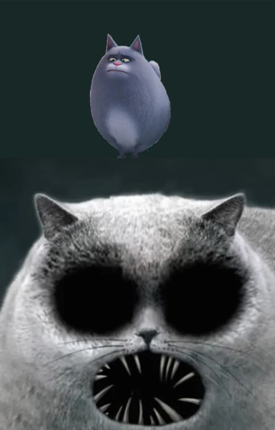 Chloe afraid of the disturbing cat jumpscare | Fandom