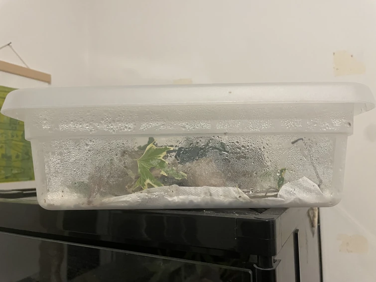 Discuss Everything About Skandar Wiki | Fandom