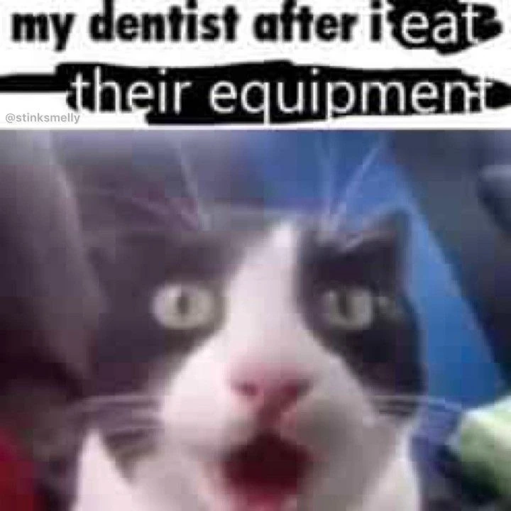 Wassup guys | Fandom