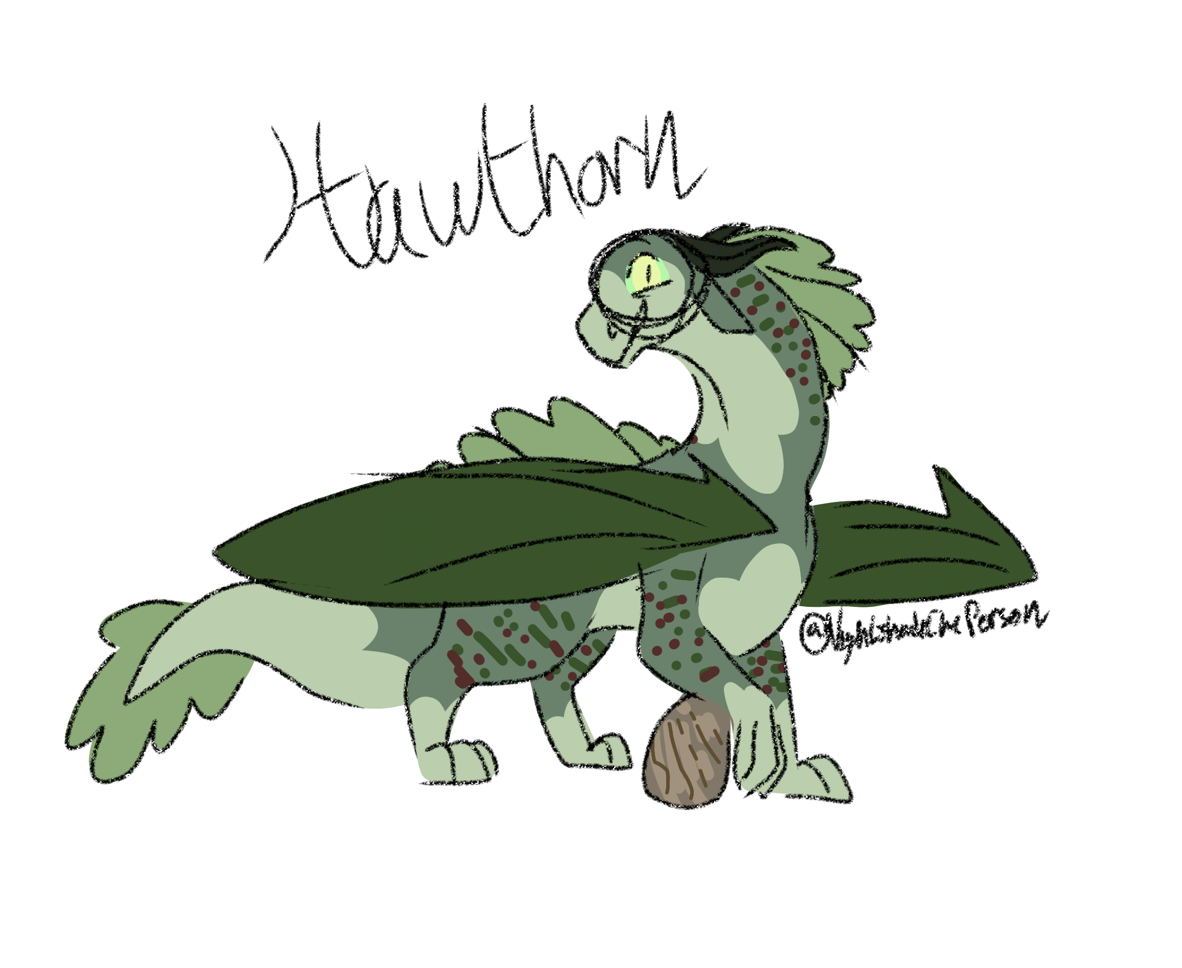 Canon Character Refs Day 78, Hawthorn | Fandom