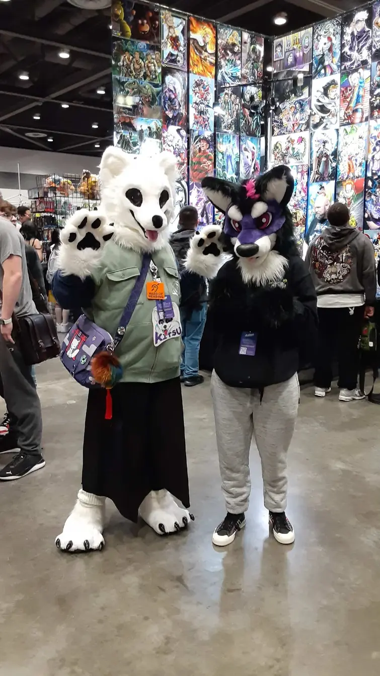 some fursuit pics from a convention | Fandom