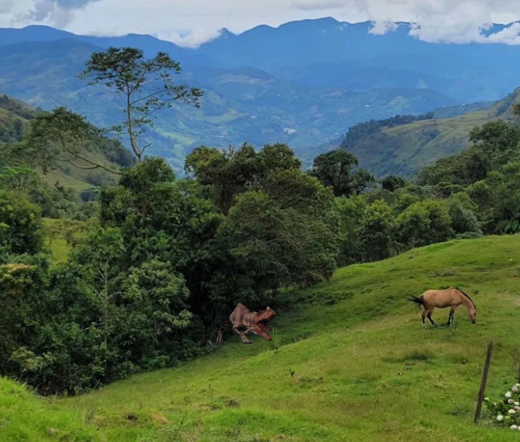 🦕 sighting | Fandom